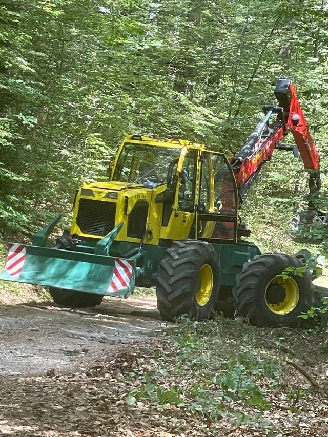 Lkt 150, 2019, Leimen, Rheinland-Pfalz, Deutschland - Mascus Deutschland
